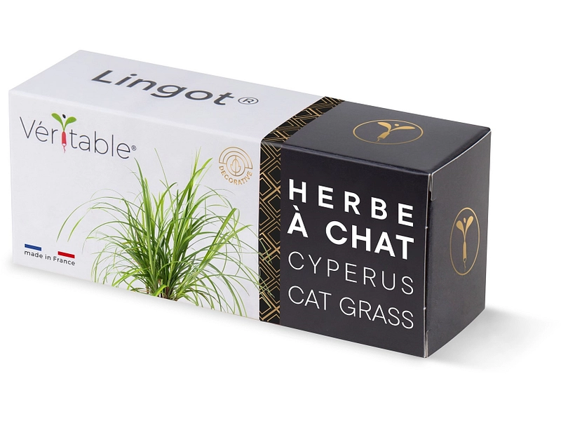 VÉRITABLE Gemüsegarten-Barren Cat Grass Cyperus Grün - Conforama CH